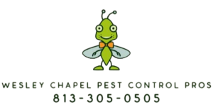 Pest Control Wesley Chapel FL | Free Estimates